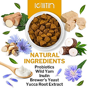 Lollitin Dog Supplement - Made in USA - All Natural - Dog Chews 120 Count - Dog Supplements for Small, Medium, Large Dogs, All Breeds (Probiotic)