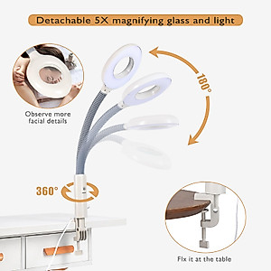 Fitnessclub 2 in1 Facial Steamer 5x LED Magnifying Lamp Hot Ozone Beauty Salon Face Equipment for Moisturizing, White