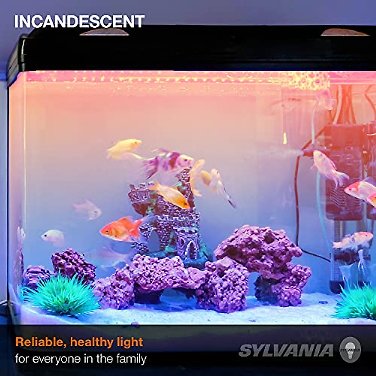 SYLVANIA T10 Incandescent 25-Watt Tubular Incandescent Bulb, Medium Base, 230 Lumens, 100 CRI, 2580K, Clear (18491)