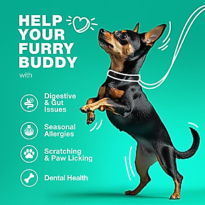 Probiotics for Dogs - Support Gut Health, Immunity, Yeast Balance, Itchy Skin, Allergies - Dog Probiotics and Digestive Enzymes - Coprophagia Deterrent for Dogs - 180 Probiotic Chews for Dogs