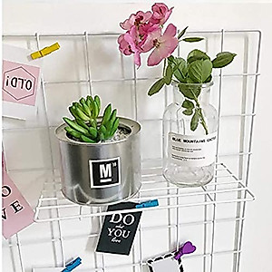 3pcs White Hanger Photo for Panel, Mountable Shelf, Panel Xcm Artworks Mount Mesh Flower Storage Office Size Mounted X Wire Picture Grille, Small, Organizer Frame Display, with