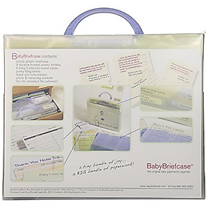 Baby Briefcase Baby Paperwork Organizer, Mint/Periwinkle