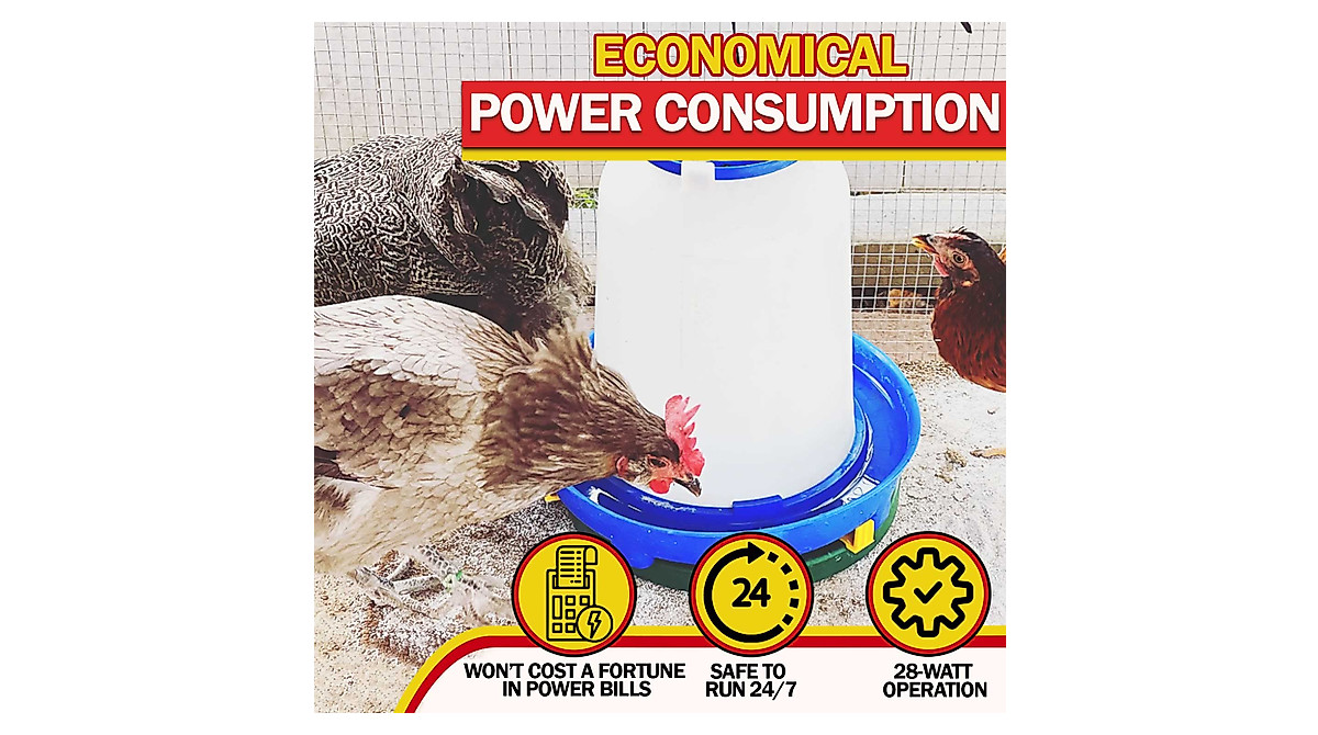 Heated Chicken Waterer - Freeze Proof & Energy Efficient