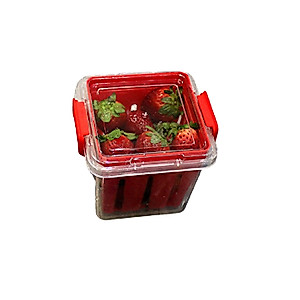 Fruit and Vegetable Saver Storage Basket Strawberries Blueberries - Promotes Airflow and Prevents Spoilage Produce Storage Container with Lid BPA-FREE