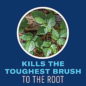 BioAdvanced 800600B Extended Control Brush Ivy Killer, Also Kills Poison Oak, BlackBerry, Kudzu and More, Concentrate, 32 oz