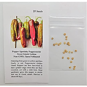 David's Garden Seeds Pepper Specialty Pepperoncini Sweet Greek Golden 7899 (Gold) 25 Non-GMO, Heirloom Seeds