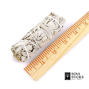 SOUL STICKS Beginners Mini Smudge Kit Includes White Sage 3-4 Abalone Shell Selenite Wand and Palo Santo with Smudging Guide