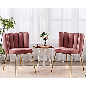 DM Furniture Velvet Dining Chairs Set of 2 Modern Accent Chair Upholstered Side Chair with Gold Metal Legs for Home Kitchen Living Room, Pink