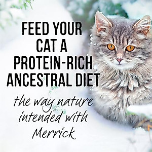Merrick Backcountry Grain Free Gluten Free Premium Wet Cat Food, Chicken and Trout Recipe Cuts With Gravy - (Pack of 24) 3 oz. Pouches
