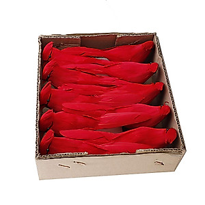 Firlar 12 Pcs Artificial Cardinal bird with Clip, 5.5 Inch Simulated Foam Bird Christmas Cardinal Birds Red-billed Ornaments for Wedding Decoration Home Garden Establishment Party Accessories