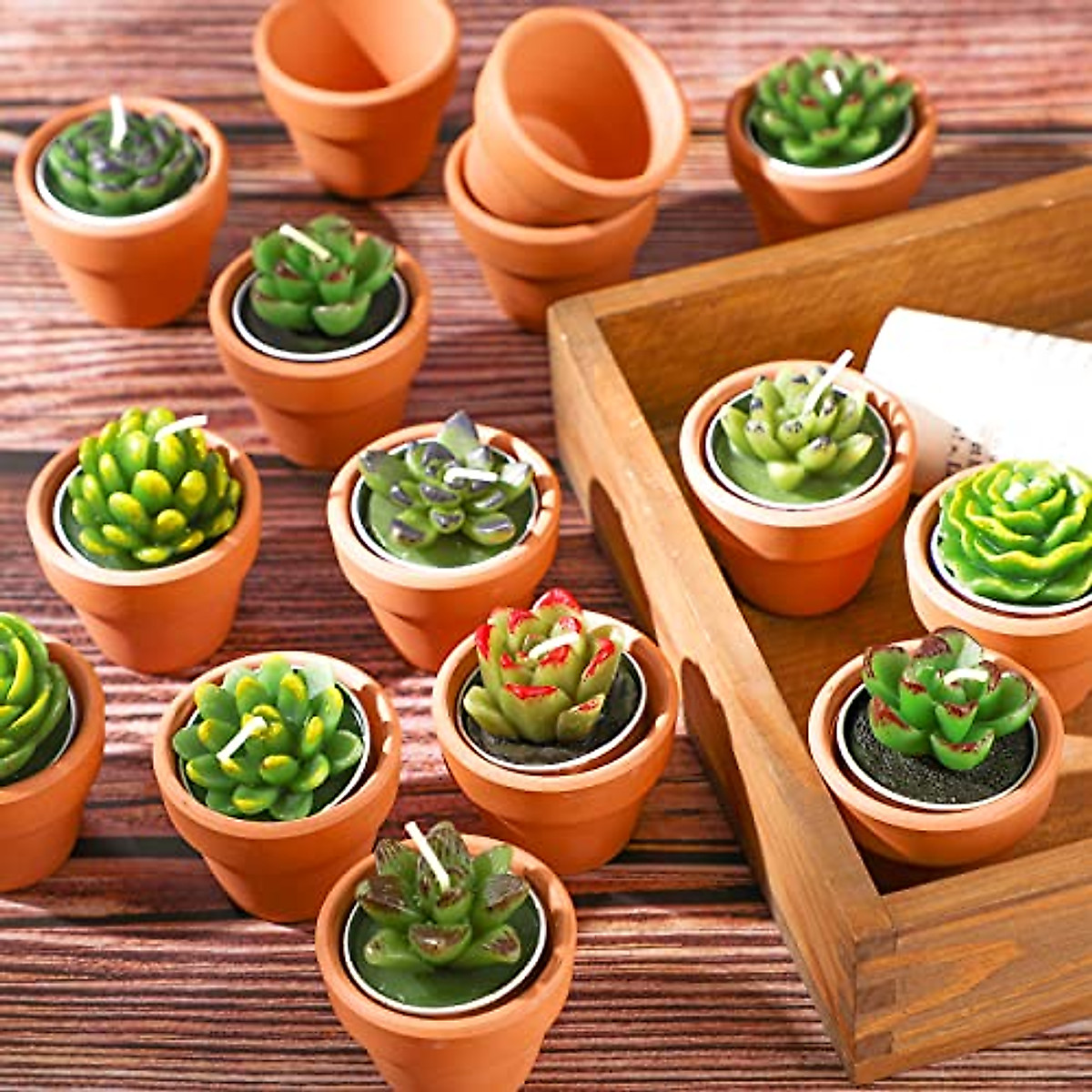 18 Pcs Succulent Cactus Tealight Candles Handmade Tea Lights Baby Shower Plant Candle Gift with Mini Terracotta Clay Candle Holders for Birthday Christmas Wedding Party Home Decoration (Cute)