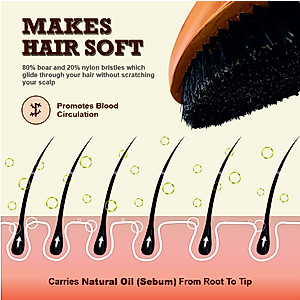 Wolfin Pro- Premium Curved 360 Wave Brush, 100% Natural Schima Superba Wood with Reinforced Pure Black Medium Boar Hair Bristle - Perfect for Wolfing, Creating 360 Layer Hair Waves, Cultivating Beards