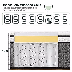 ZINUS 12 Inch True Support Hybrid Mattress [New Version], Queen, Fiberglass Free, Medium Feel, Motion Isolation, Certified Safe Foams & Fabric, Mattress in A Box