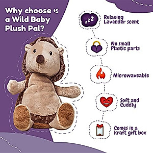 WILD BABY Hedgehog Weighted Stuffed Animals - Microwavable Animals with Lavender, 12 inch Heatable Plush for Kids - Soft, Cuddly, Warming Stuffed Animal for Baby - Gift Box Ready