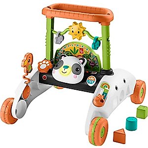 Fisher-Price Baby & Toddler Toy 2-Sided Steady Speed Panda Walker With Smart Stages Learning & Blocks For Ages 6+ Months