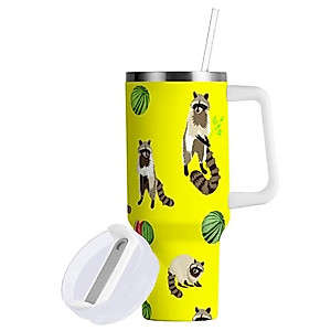 DIGTIA Stainless Steel Insulated Tumbler w/Handle & Straw, Raccoon Cute Double Wall Vacuum Travel Coffee Mug Cup w/Lid, Leak-Proof Sports Fluffy Water Bottle,30oz