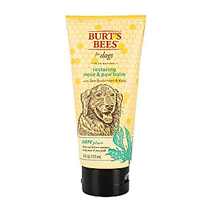Burt's Bees for Dogs Care Plus+ Natural Sea Buckthorn & Kelp Restoring Nose & Paw Lotion | Heals & Moisturizes Dog Noses and Paws | pH Balanced for Dogs - Made in USA, 6 Oz Bottle of Lotion