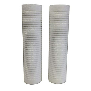 CFS – 2 Pack Universal Heavy/Coarse Water Filter Cartridges Compatible with AquaPure AP124 Models – Remove Bad Taste and Odor – Whole House Replacement Filter Cartridge – White