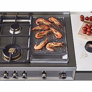 Bertazzoni PROF486GDFSROT Professional Series Dual Fuel Range