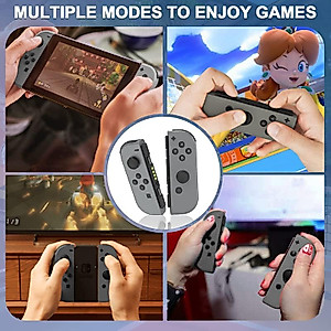 Wiv77 Joypads for Nintendo Switch Controller, Gray Joypads Switch Controller for Nintendo Switch/Lite/OLED,Left and Right Switch Joypad Support Dual Vibration/Wake-up Function/Motion Control,No NFC