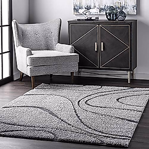 nuLOOM Carolyn Cozy Soft & Plush Shag Accent Rug, 2' x 3', Dark Grey