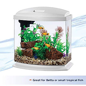 Aqueon LED MiniBow Aquarium Kit with SmartClean Technology, White, 2.5 Gallon