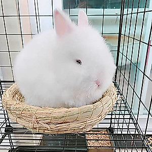 Bunny Grass Mat Bed 3-Pcs,Rabbit Digging Natural Woven Straw Mats Bedding,Guinea Pig Timothy Hay Resting Basket,Pet Cage Chewing Toys for Hamster Chinchilla Ferret Gerbil