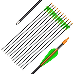 AICHROAD Practice Arrows 24 26 28Inch Targeting Arrow Shooting for Recurve Bows Compoundbow Youth Kids Beginner 28inch 12pcs