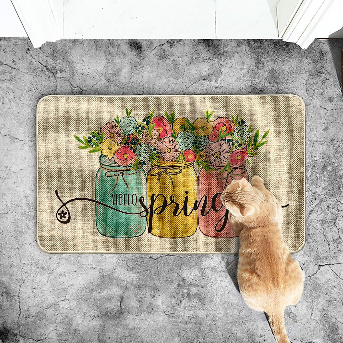 Artoid Mode Vase Hello Spring Doormat, Seasonal Spring Summer Easter Holiday Anniversary Low-Profile Yard Floor Switch Mat for Indoor Outdoor 17 x 29 Inch