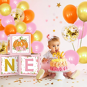 Fall Pumpkin First Birthday Balloon Boxes One Box Blocks Decorations Thanksgiving Birthday Cake Smash Party Photo Props Backdrop (Pink)