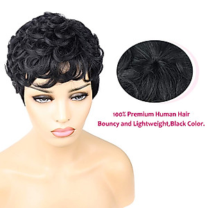 VCK Short Human Hair Wigs for Black Women Short Curly Human Hair Wigs Pixie Cut Wigs for Black Women Short Wigs Human Hair Full Machine Made Glueless Wigs