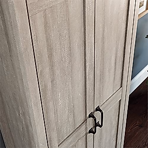 Sauder Miscellaneous Storage Spring Maple Two-Door Storage Cabinet, Spring Maple Finish