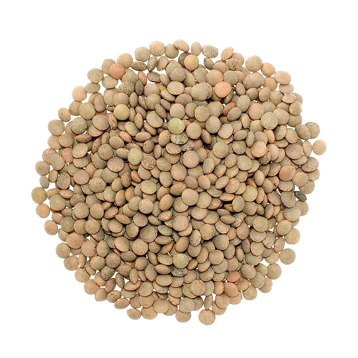 Small Brown Dry Lentils | 5 LBS Plastic Free Packaging | Family Farmed in Washington State | 100% Desiccant Free | Non-GMO | 100% Non-Irradiated | Kosher | Field Traced | Burlap Bag