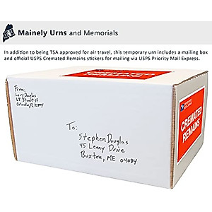 TSA Approved Fly-Safe and Temporary Travel Cremation Urn Kit for Human Ashes - Airline Friendly - 200 Cubic Inch Capacity - Airline-Ready Green Plastic Urn with Included Travel Box