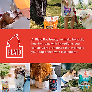 PLATO Turkey Real Strips Natural Dog Treats - Real Meat - Air Dried - Made in the USA - Turkey & Cranberry, 3 ounces