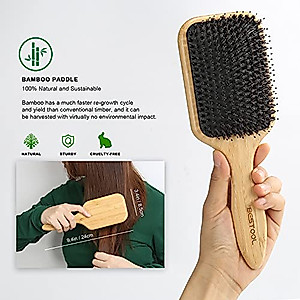 BESTOOL Hair Brush, Boar Bristle Hair Brushes for Women men Kid, Boar & Nylon Bristle Brush for Wet/Dry Hair Smoothing Massaging Detangling, Everyday Brush Enhance Shine & Health (Square)