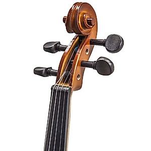 Paititi 4/4 Full Size Artist-100 Student Violin Starter Kit with Brazilwood Bow Lightweight Case, Shoulder Rest, Extra Strings and Rosin