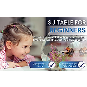 D&A Tropical Live Fish - ABINO Full RED Guppy Live Fish for Aquariums, Live Fish Freshwater (1 Breeding Pair (1Male,1Female))