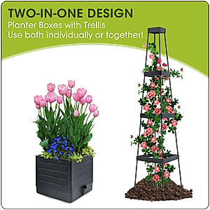 MQFORU Tomato Planter with Trellis, 57" Raised Garden Bed Planters Box for Climbing Vegetables Plant, Self Watering Tomato Support Cages for Garden Pots, Use for Patios Greenhouse Indoor Outdoor（1Pc）