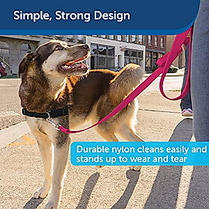 PetSafe Nylon Dog Leash - Strong, Durable, Traditional Style Leash with Easy to Use Bolt Snap - 3/4 in. x 6 ft, Raspberry Pink