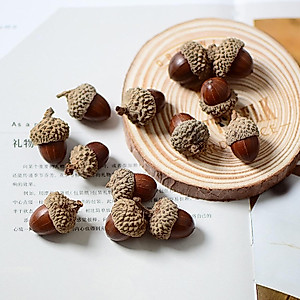 200Pcs Natural Acorns Caps Decorative for Craft Vase Fillers Home Garland Autumn Embellishments Ornaments Vase Fillers