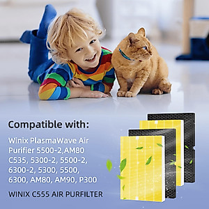 116131 True HEPA Replacement Filter I for Winix C555 5500-2 Plasmawave Air Purifier,2 Pack H13 True HEPA Filters and 2 Pack Activated Carbon Filter Combo Pack