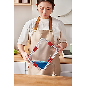 MSM Products Crystal Clear Transparent Food Storage Containers, BPA-Free, Glass Clear Plastic, 12 pieces set (6 lids and 6 containers). Total set capacity 10 LITERS. RED color 4 sides clip lock.