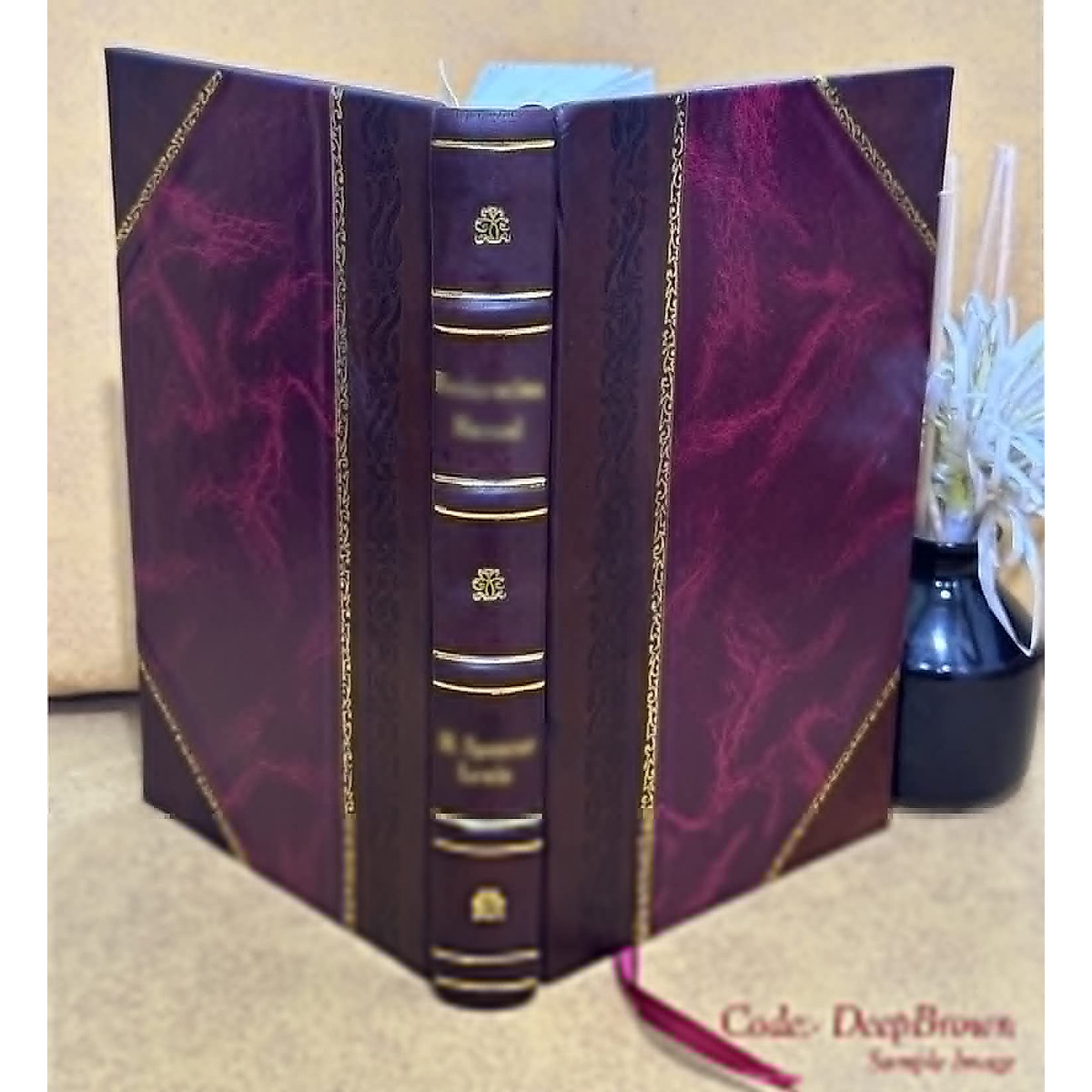 Executive Office for Immigration Review : hearing before the Subcommittee on Immigration, Citizenship, Refugees, Border Security, and International Law of the Committee on the Judiciar [Leather Bound]