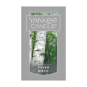 Yankee Candle Silver Birch Scented, Classic 22oz Large Jar Single Wick Aromatherapy Candle, Over 110 Hours of Burn Time, Apothecary Jar Fall Candle, Autumn Candle Scented for Home