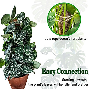 2 Pack 17 Inch Moss Pole, Stackable Moss Poles for Climbing Plants Monstera, Tall Plant Sticks Accessories, Large Coir Plant Support Stakes for Potted Plants Indoor, Pothos, Philodendron