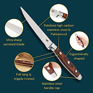 The Dinner Pony Serrated Steak Knives Set of 6 - Wooden Handle, Full Tang and Triple Riveted Design in Gift Box - Pakka Wood and High Carbon Stainless Steel