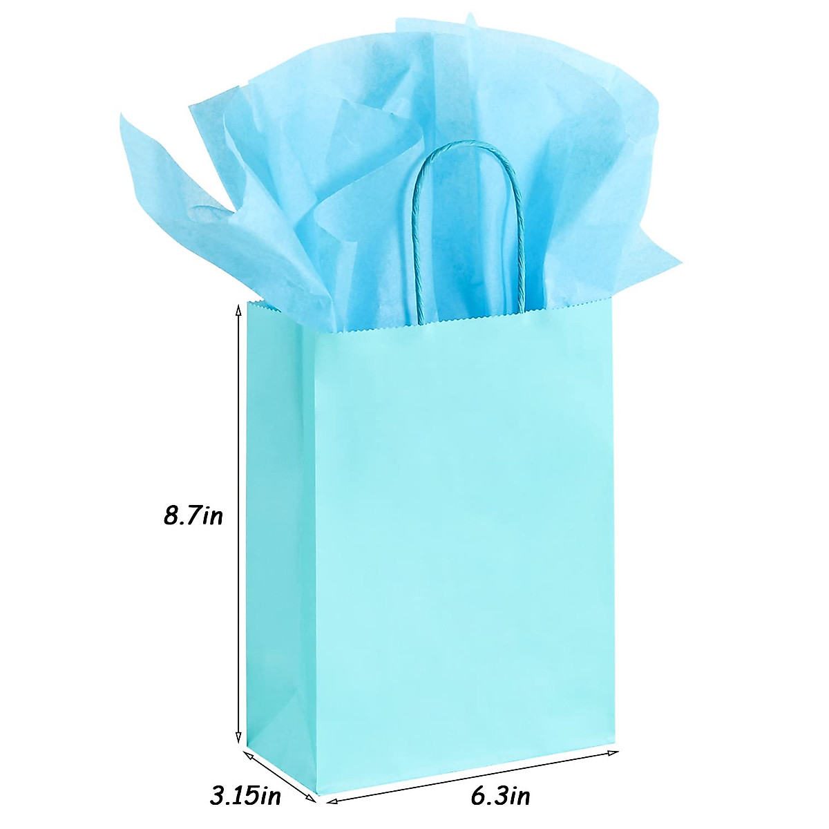 48 Pieces Gift Bags with 48 Tissue Papers, 8 Colors Gift Paper Bags with Handle for Party Supplies, Treat Favor, Birthday Party, Wedding, Gifts and Celebrations Assorted Colors (Rainbow)
