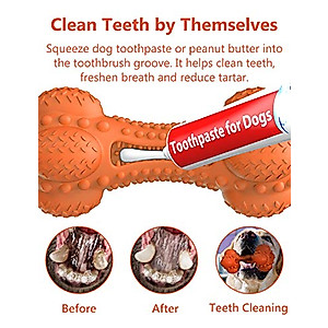 SCHITEC Squeaky Dog Chew Toy, Tough Durable Natural Rubber Bone with Toothbrush, Indestructible for Aggressive Chewers Large Medium Breed Teeth Cleaning