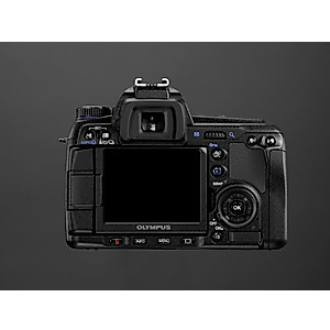 Olympus E30 12.3MP Digital SLR with Image Stabilization (Body Only)